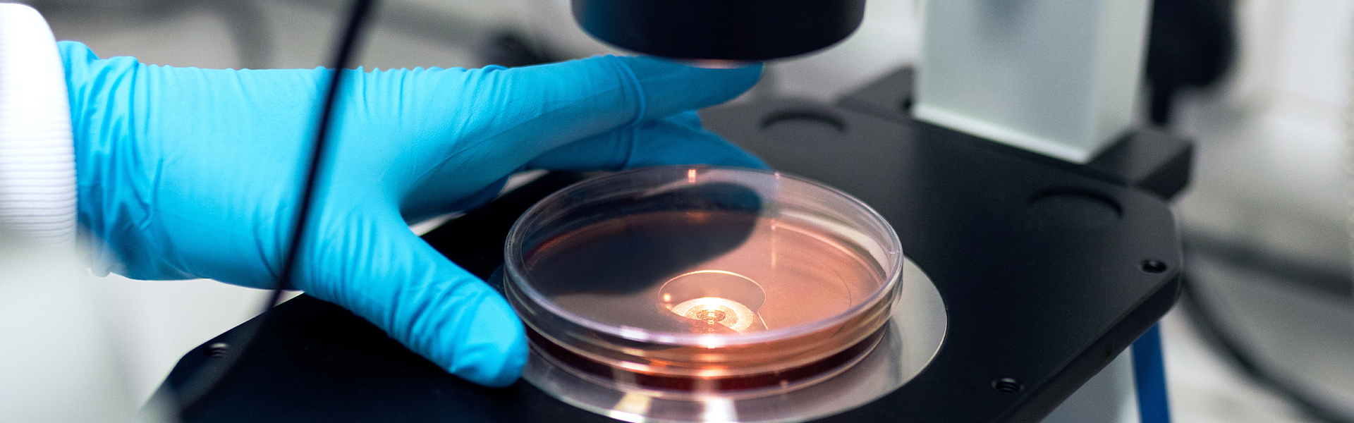 How Data Is Accelerating Drug Discovery And Development? How Data Is Accelerating Drug Discovery And Development?
