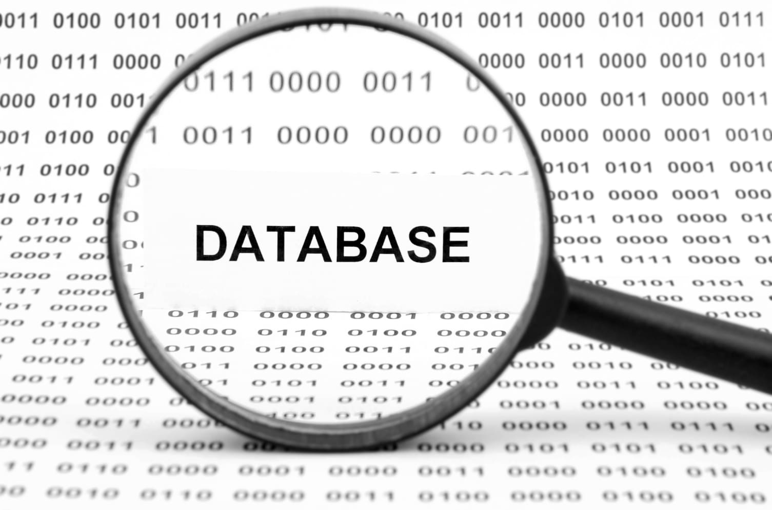 Communicate with your data using natural language • GreenM